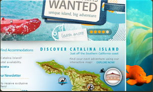 Orange County Web Design & Digital Agency - Trinet Internet Solutions